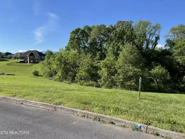 l OT 10 ALUM CAVE COVE, SEVIERVILLE, TN 37862 Vacant Land For.