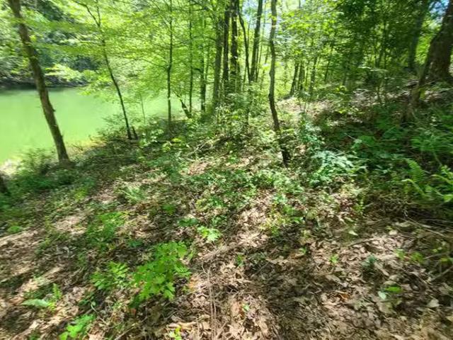 l OT 117C CLAIBORNE RD, LAFOLLETTE, TN 37766 Vacant Land For S.