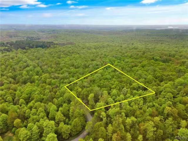 l OT 11 POTTER ROAD, REDFIELD, NY 13437 Vacant Land For Sale.