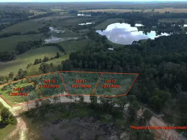 l OT 11 SOUTHERN PINES, HALLSVILLE, TX 75650 Vacant Land For S.