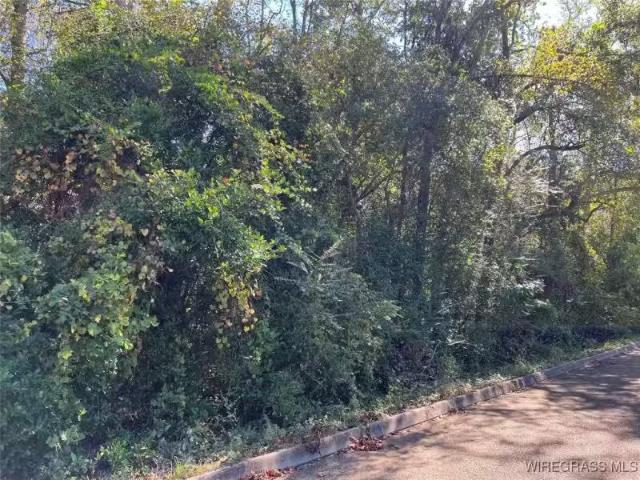 l OT 11 1/2 LOT 12 BERMAN STREET, ANDALUSIA, AL 36421