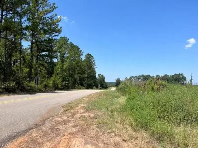 l OT # 12 COUNTY ROAD 22, COLUMBIA, AL 36319 Single Family Res.