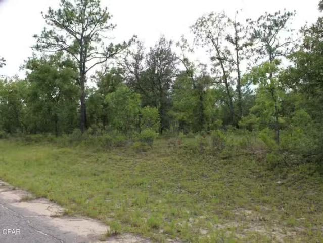 l OT 1 ESMONT, CHIPLEY, FL 32428 Single Family Residence For S.