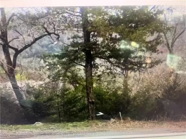 l OT 25 OF BLOCK 2 DEER RUN LANE, HOLIDAY ISLAND, AR 72631 Vac.