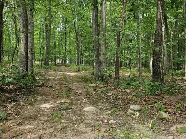 l OT 25 SUMMERS ROAD, ROBERTSDALE, PA 16674 Vacant Land For Sa.
