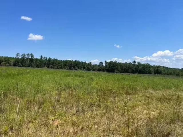l OT # 2 COUNTY ROAD 22, COLUMBIA, AL 36319 Single Family Resi.