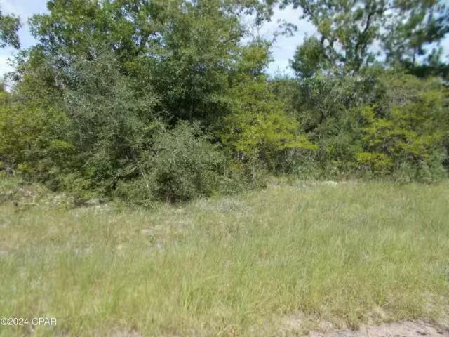 l OT 2 CORONADO DRIVE, CHIPLEY, FL 32428 Single Family Residen.