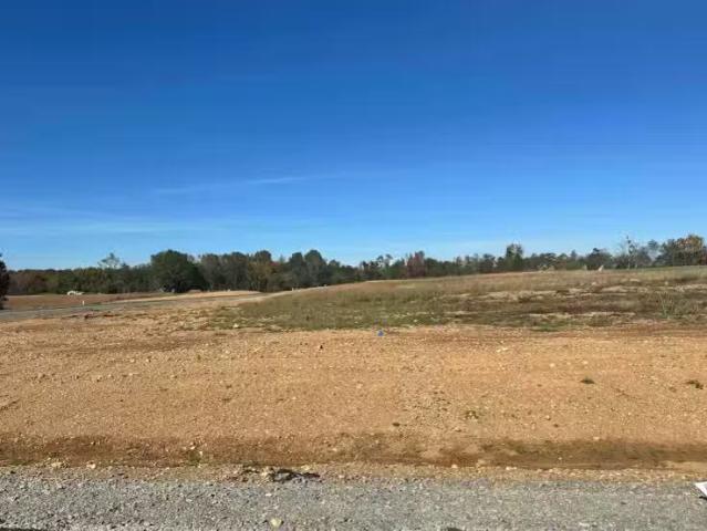 l OT 2 AVILLA ACRES SUBDIVISION, ALEXANDER, AR 72002