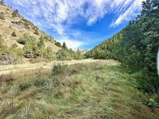 l OT 381 AND LOT 379 POLE GULCH AND LONE WOLF, THREE FORKS, MT.