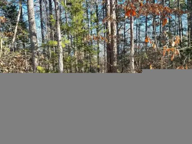 l OT 38R BLOCK 3 MOUNTAIN RANCH DRIVE, FAIRFIELD BAY, AR 72088.