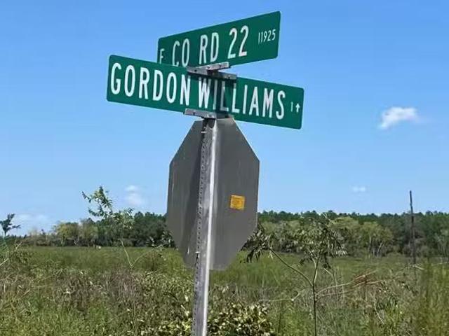 l OT # 3 COUNTY ROAD 22, COLUMBIA, AL 36319 Single Family Resi.