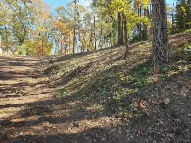 l OT 3 FLEETWOOD DR, MUSCLE SHOALS, AL 35661