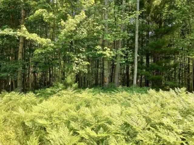 l OT 3 HAPPY, BEAVERTON, MI 48612 Vacant Land For Sale MLS# 5.