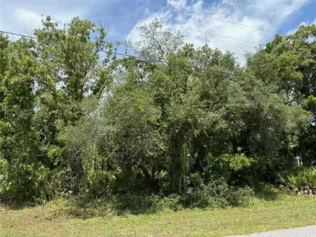 l OT 3 MAVIS ROAD, WEEKI WACHEE, FL 34613 Vacant Land For Sale.
