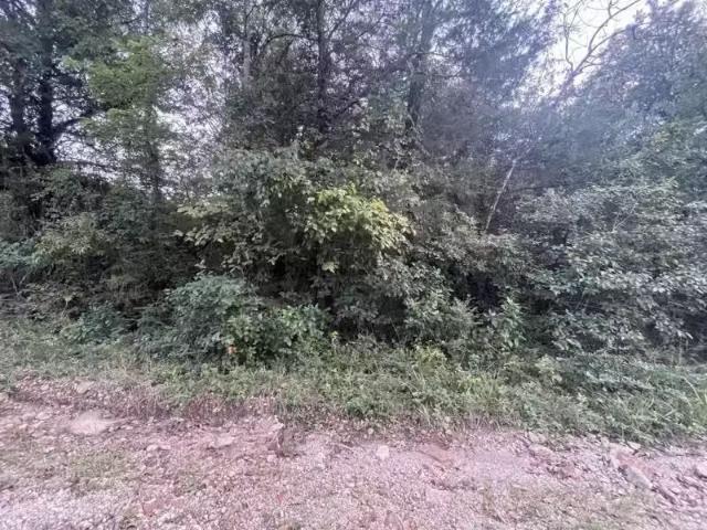 l OT 41 CANARY LANE, DIAMOND CITY, AR 72630 Vacant Land For Sa.