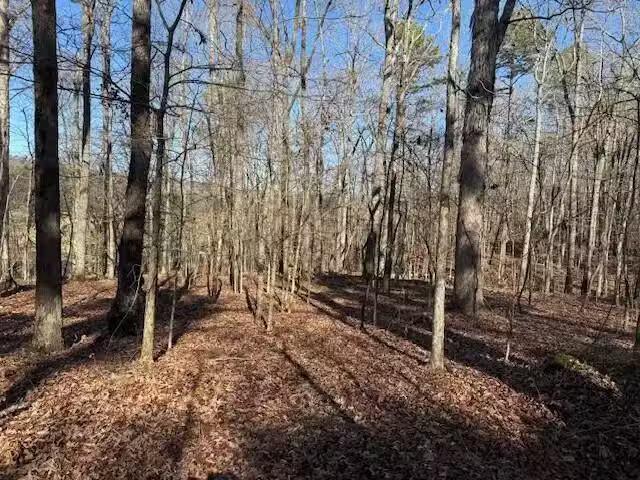 l OT 4 COUNTY ROAD 751, VALLEY HEAD, AL 35989
