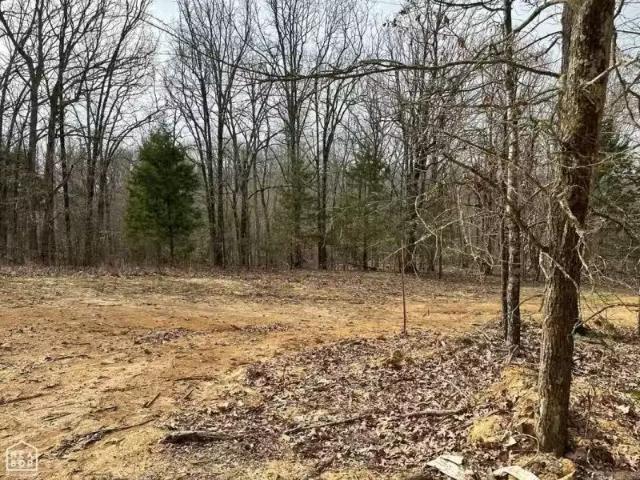 l OT 4 RABY ROAD, HARRISBURG, AR 72432