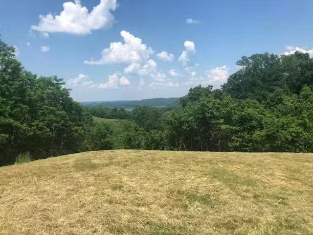l OT 58A1 GOOSE RD, HILHAM, TN 38568 Vacant Land For Sale MLS.