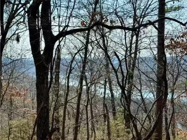 l OT 64 ROCKY RIDGE PLACE, GARFIELD, AR 72732 Vacant Land For.
