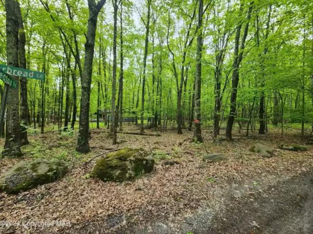 l OT 6701 RED FOX TRL, EAST STROUDSBURG, PA 18302 Vacant Land.