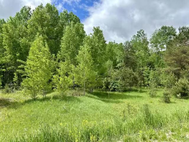l OT 63&64 GOLFVIEW, gailord, MI 49735 Vacant Land For Sale M.
