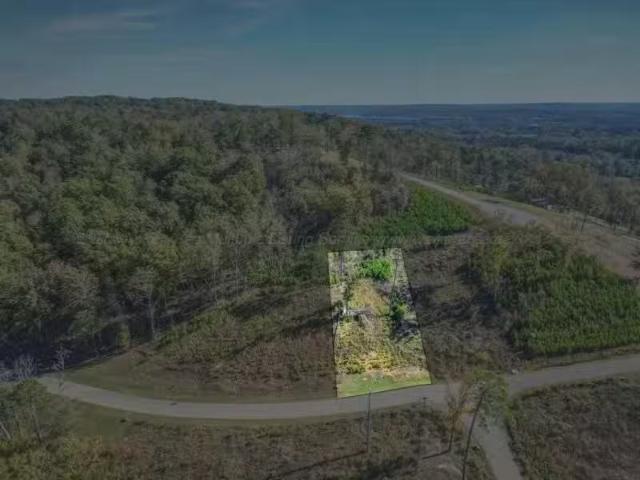 l OT 77 BOAT HOUSE DR, GUNTERSVILLE, AL 35976 Vacant Land For.