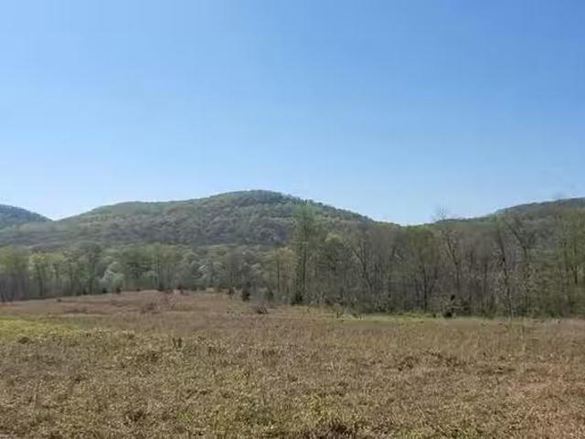 l OT 7 BEAR HOLLOW LANE, LIVINGSTON, TN 38570 Single Family Re.
