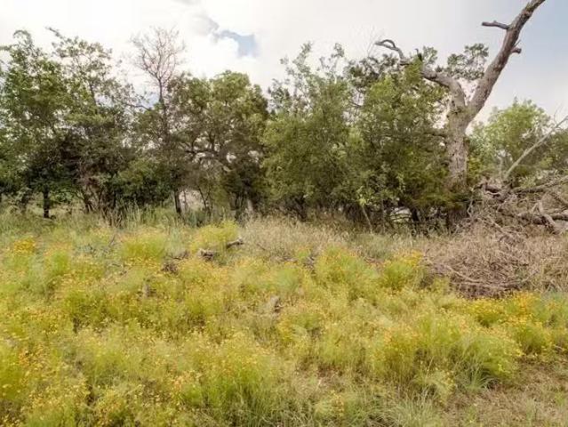 l OT 818 E CASTLESHOALS DRIVE, GRANITE SHOALS, TX 78654 Vacant.