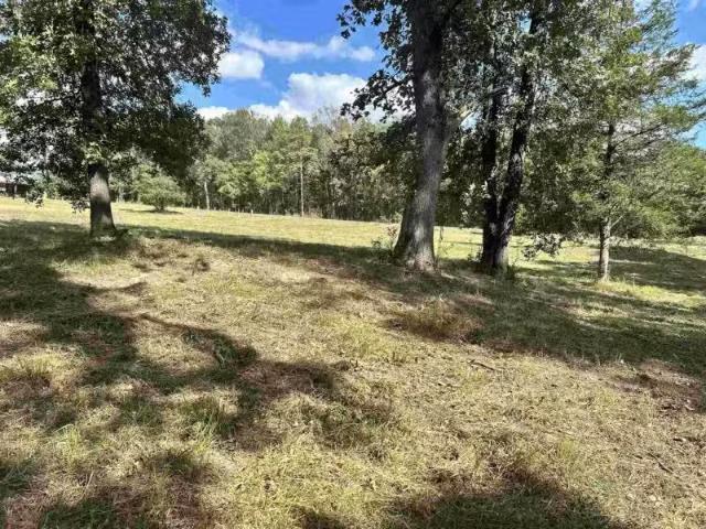 l OT 8 AVILLA MANOR SUBDIVISION, ALEXANDER, AR 72002