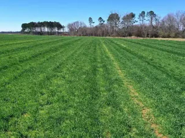 l OT 8 MACK POND ROAD, ATMORE, AL 36502 Vacant Land For Sale.
