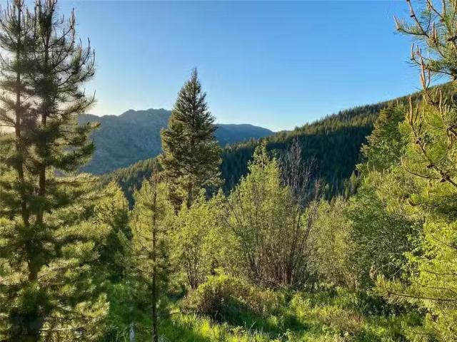 l OT 8 WOODLAND LANE BIRDIE, BUTTE, MT 59701 Vacant Land For.
