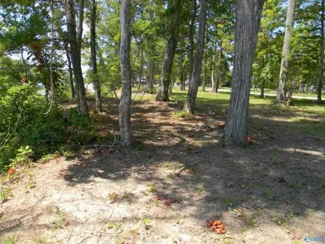 l OTS 41 42 COUNTY ROAD 182, CEDAR BLUFF, AL 35959
