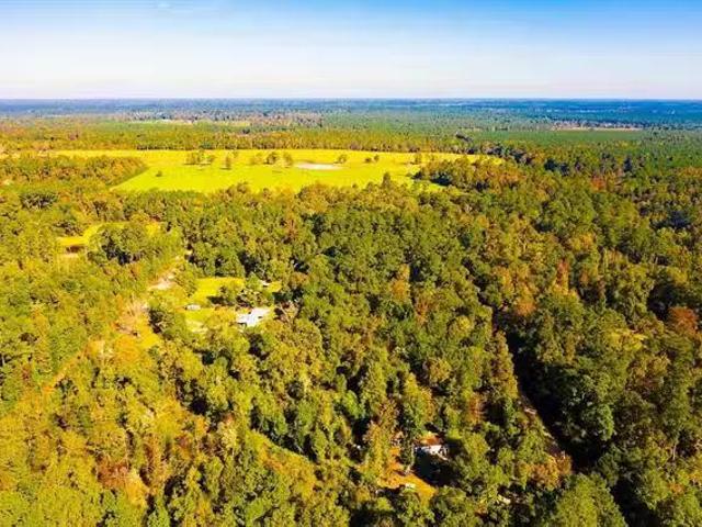 l OTS 500 502 PATSY CLINE ROAD, LIVINGSTON, TX 77351 Vacant La.