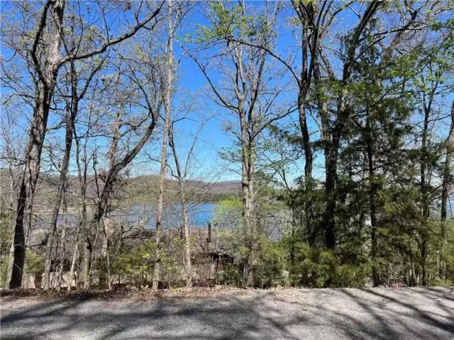 l OTS 12 & 13 DOGWOOD DRIVE, GARFIELD, AR 72732 Vacant Land Fo.