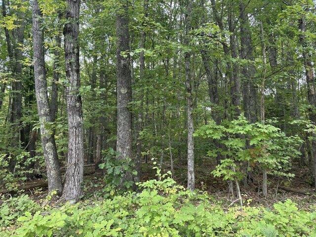 L Buzzell Hill Rd, Hope, Plot For Sale