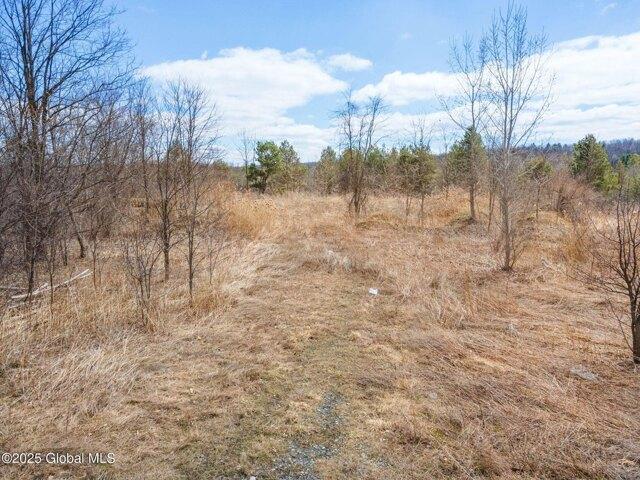L Duanesburg Rd, Duanesburg, Plot For Sale