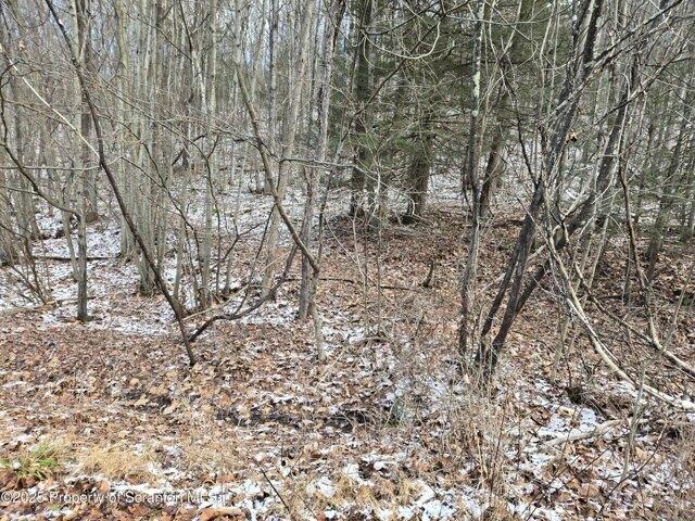 L Eastwoods Rd, Tunkhannock, Plot For Sale