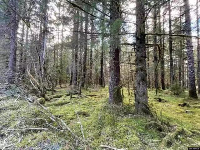 l EGAL ADDRESS ONLY, GUSTAVUS, AK 99836 Vacant Land For Sale.