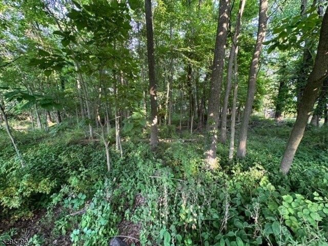 L Fairfield Ave, West Caldwell, Plot For Sale