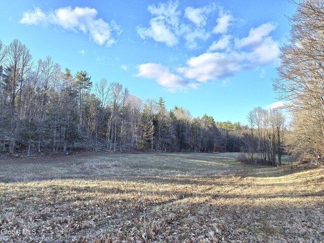 L Goodman Rd, Fort Ann, Plot For Sale