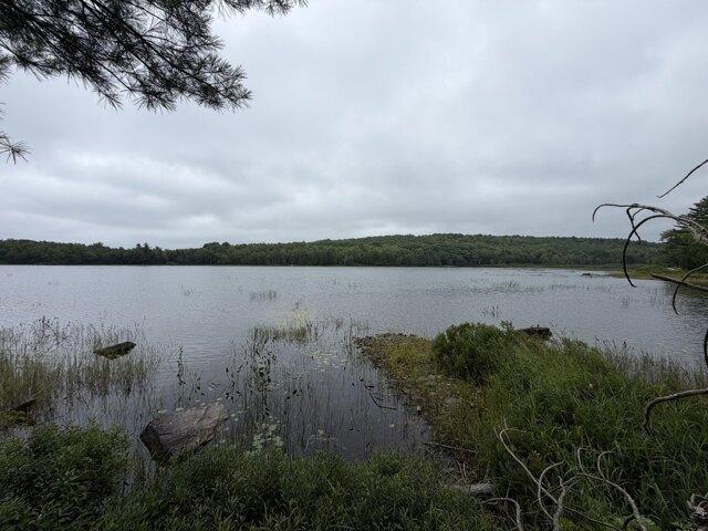 L Huff Rd, Danforth, Plot For Sale