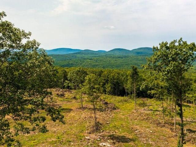 L Hymie Norton Rd, New Vineyard, Plot For Sale
