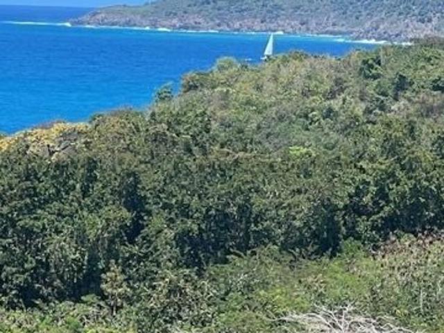 L Lovenlund Gns, Saint Thomas, Condo For Sale