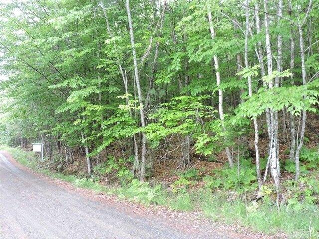 L Pine Knoll Dr, Bowerbank, Plot For Sale