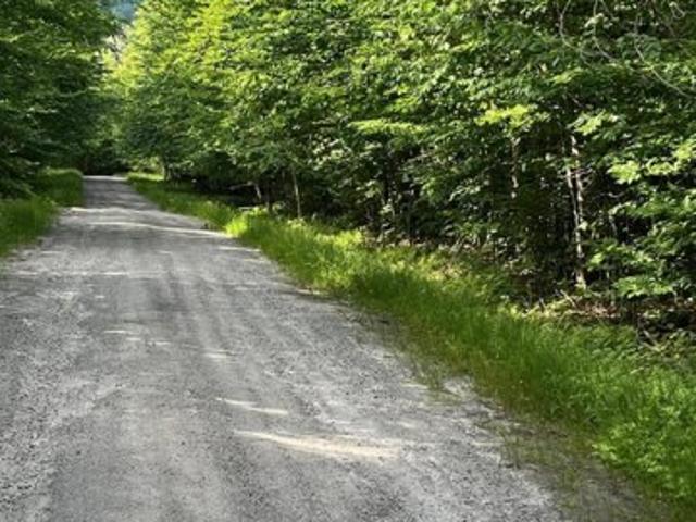L Ruby Mountain View Dr, North River, Plot For Sale