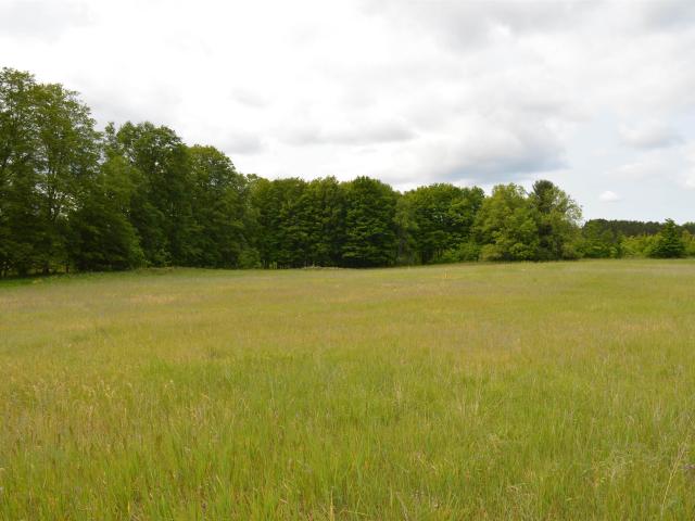 L Summit City Road # Lot: L