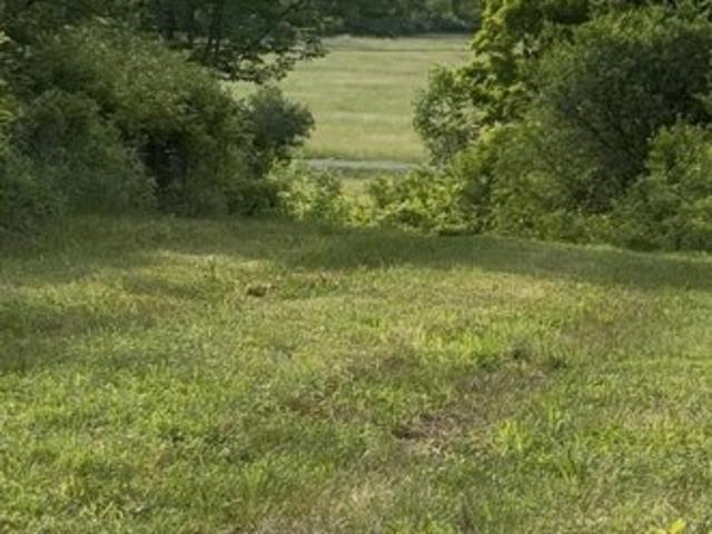 L Salsburg Rd, Delanson, Plot For Sale