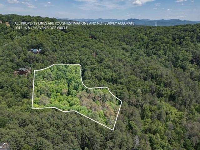 L 1516 Raven Ridge Cir, Mineral Bluff, GA 30559
