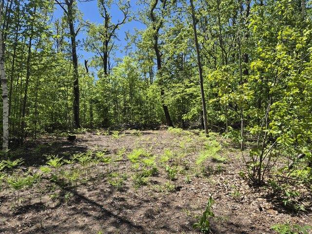 L 187 188 Primrose Trl Lot 187 188, Gaylord, MI 49735