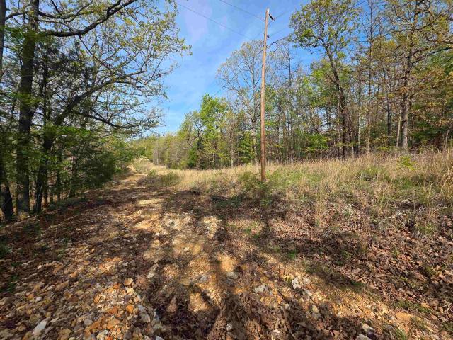 L 10 B 2 Rocky Top Trail